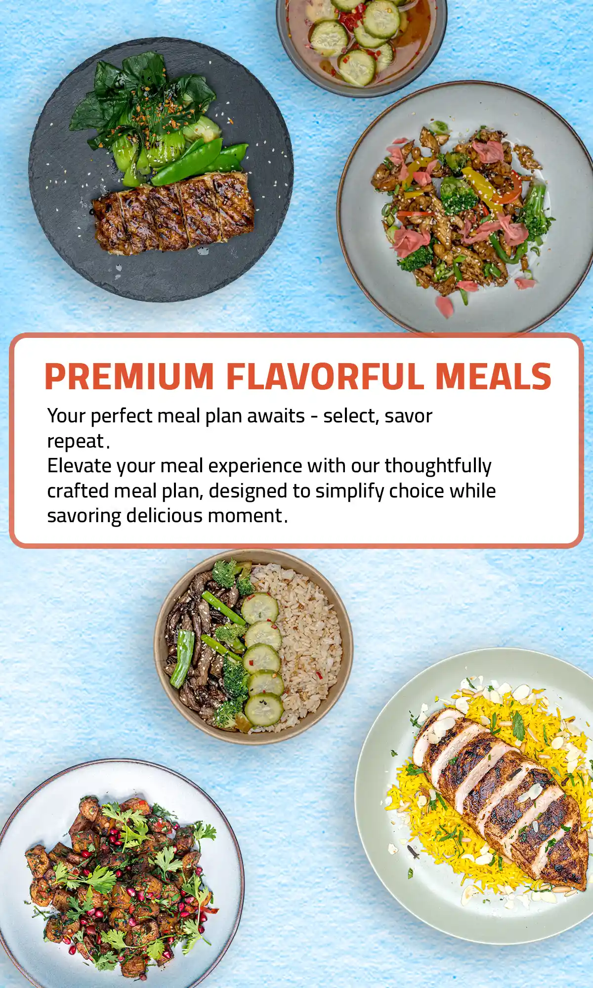 Yalla Meal Plans - Choose Your Perfect Lunch or Dinner Plan with Free ...
